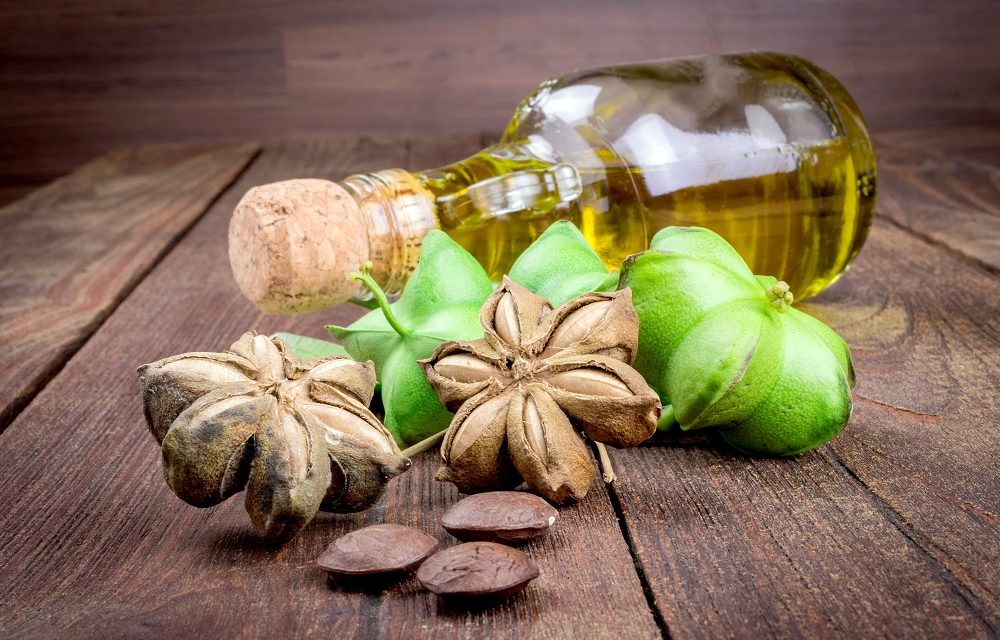 Sacha Inchi: Fun Facts & Recipes - Faithful to Nature Natural and ...