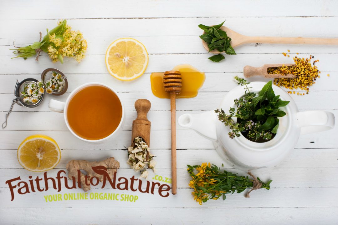 New Year's Detox Tips - Faithful To Nature