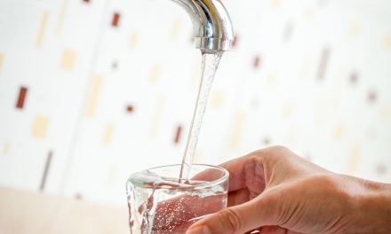 10 Stylish & Sustainable Gift Wrap Ideas - Faithful to Nature Natural ...