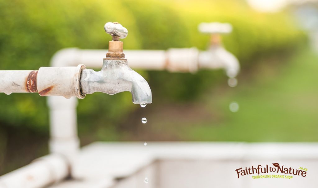 5 Easy Tips to Save Water in Your Home - Faithful To Nature