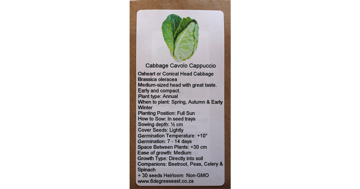 Buy 6 Degrees East Heirloom Veg Seeds - Wild Cabbage - Oxheart Online ...