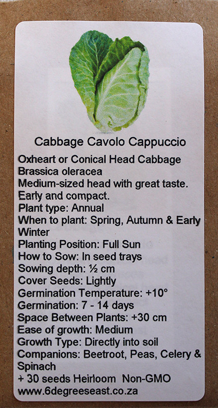 Buy 6 Degrees East Heirloom Veg Seeds - Wild Cabbage - Oxheart Online ...