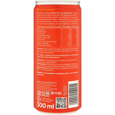 Buy Noobeing Original Sparkling Drink Online | Faithful to Nature