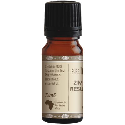 Buy Pure Indigenous Zimbabwean Resurrection Bush Essential Oil Online ...
