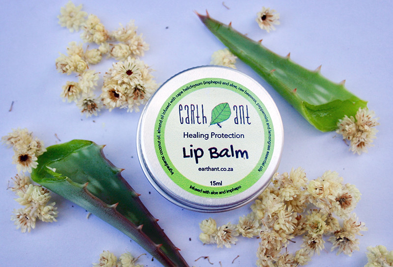 Buy Earth Ant Lip Balm Online | Faithful to Nature