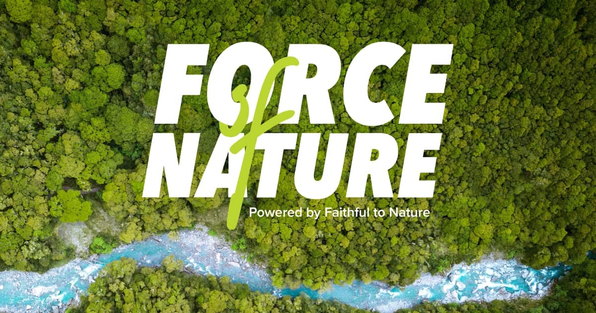 Force of Nature | Faithful to Nature